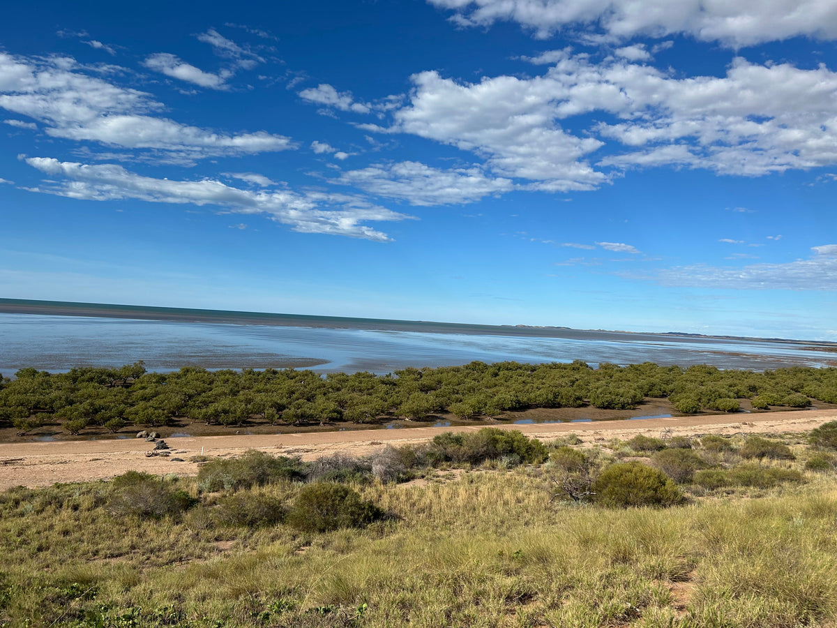 A KAS Krew Adventure: Crabbing and Exploring Karratha Back Beach ...